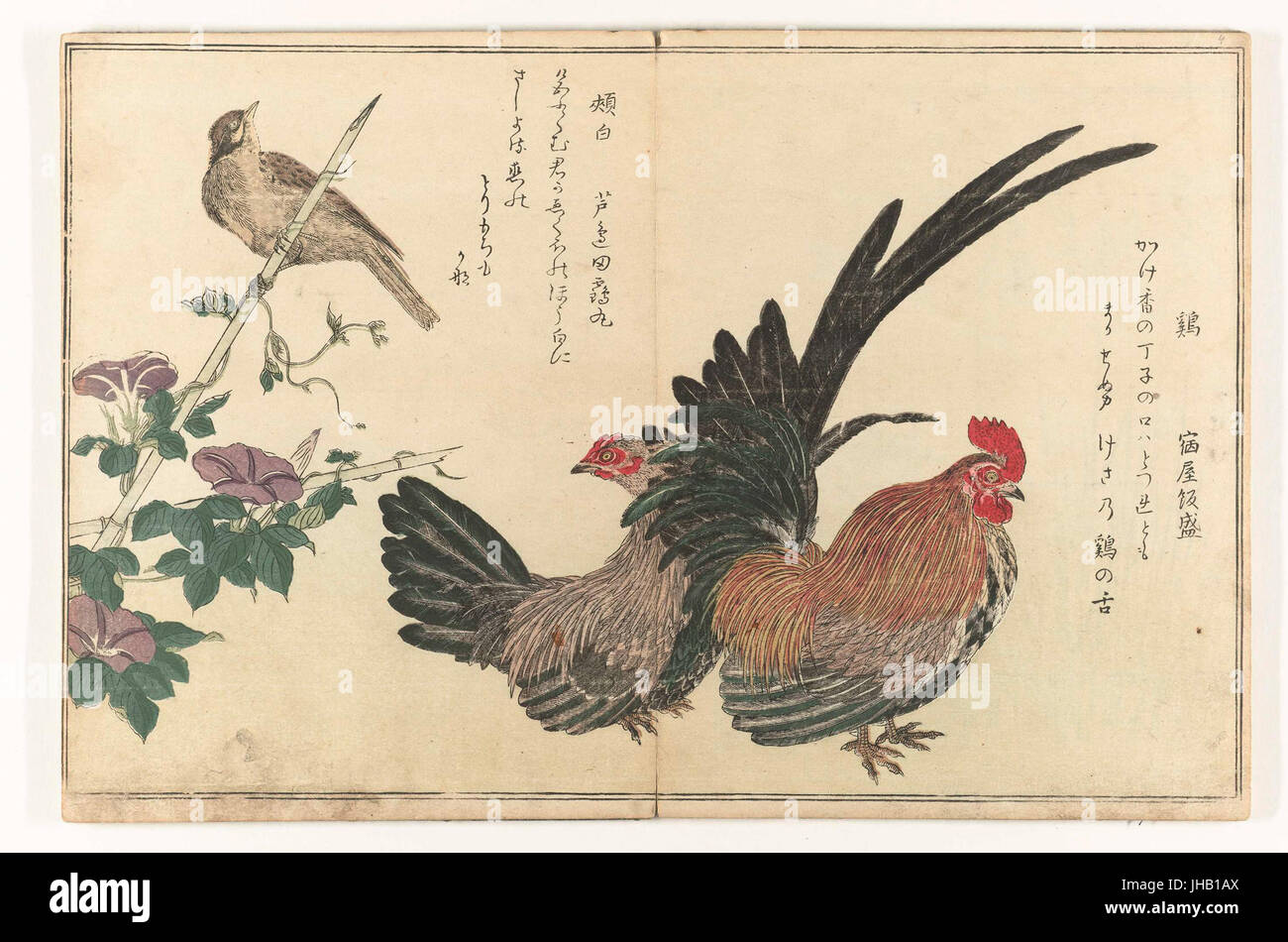 The painting 'Haan, hen en vogel bij bloeiende winde' depicts a rooster ...