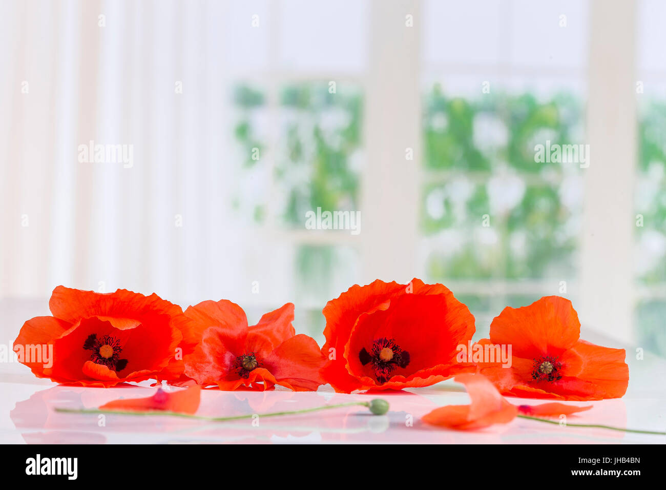 Red poppieslying on table on windows, background Stock Photo - Alamy