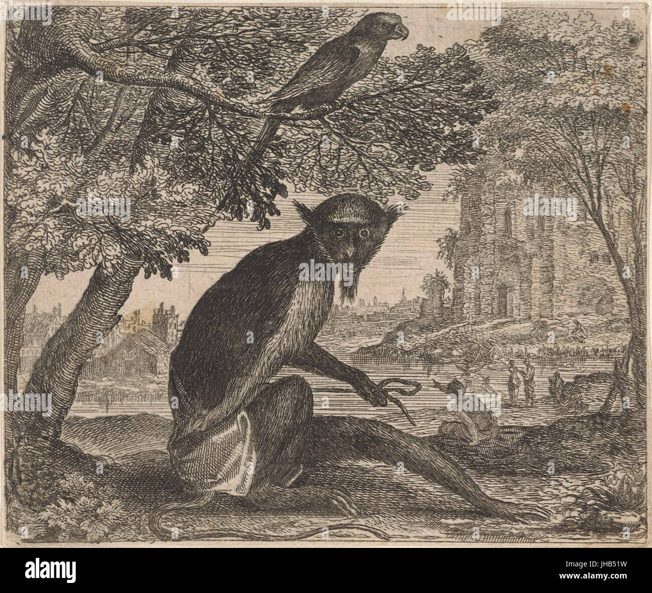 Fabel van de papegaai en de aap Stock Photo - Alamy