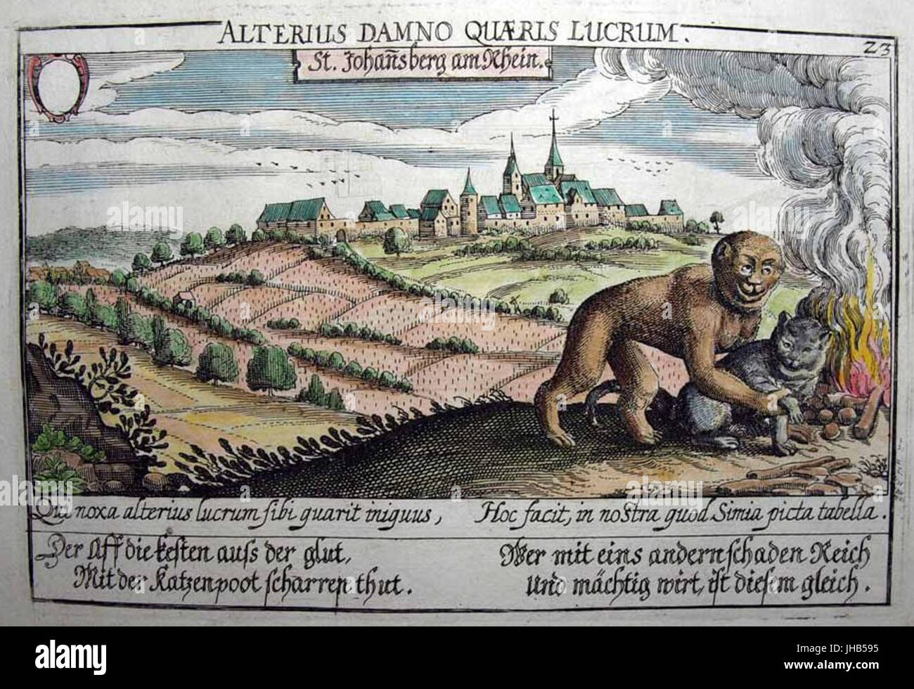 Monkey & Cat Stock Photo - Alamy