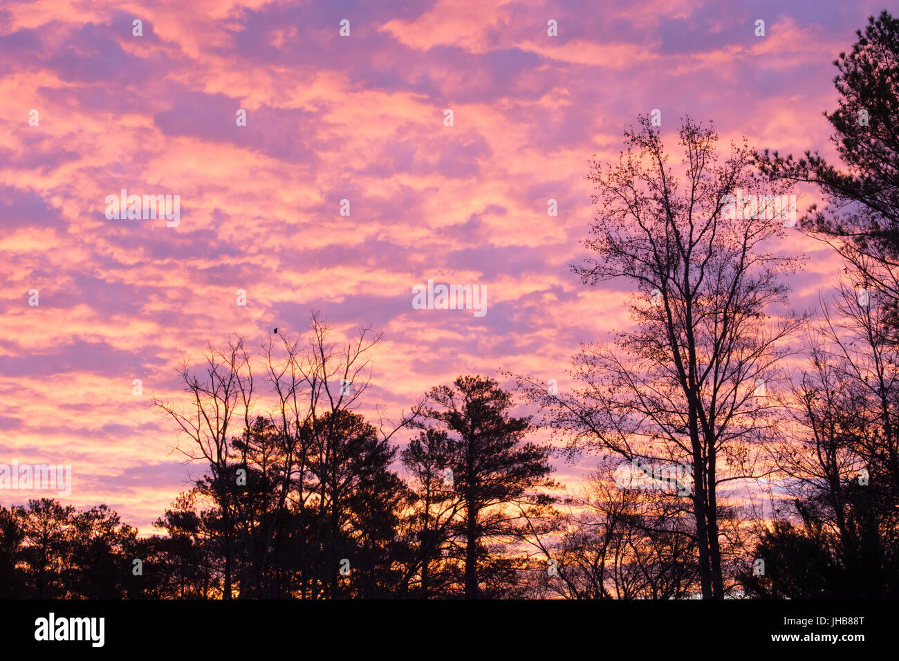 Colorful sunrise in Georgia Stock Photo - Alamy