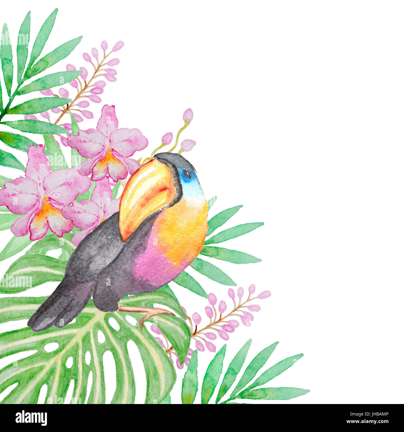 Watercolor background with tropical bird and flowers Stock Photo - Alamy