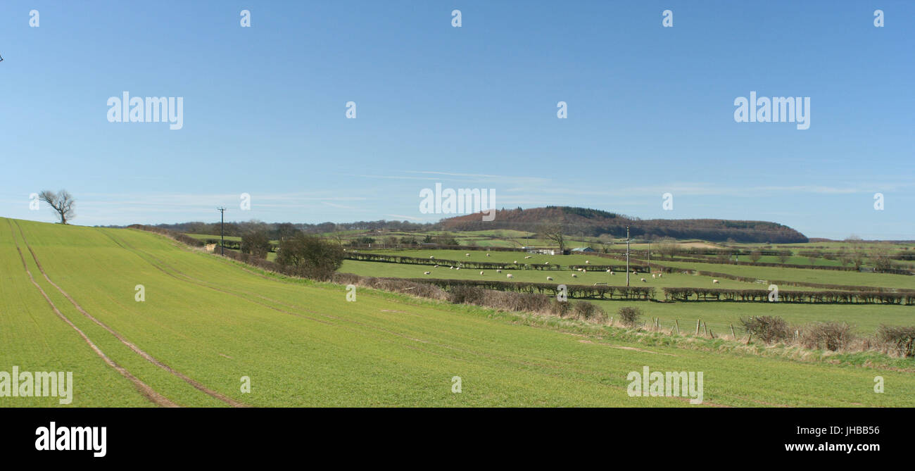 The Cinder Path Stock Photo - Alamy