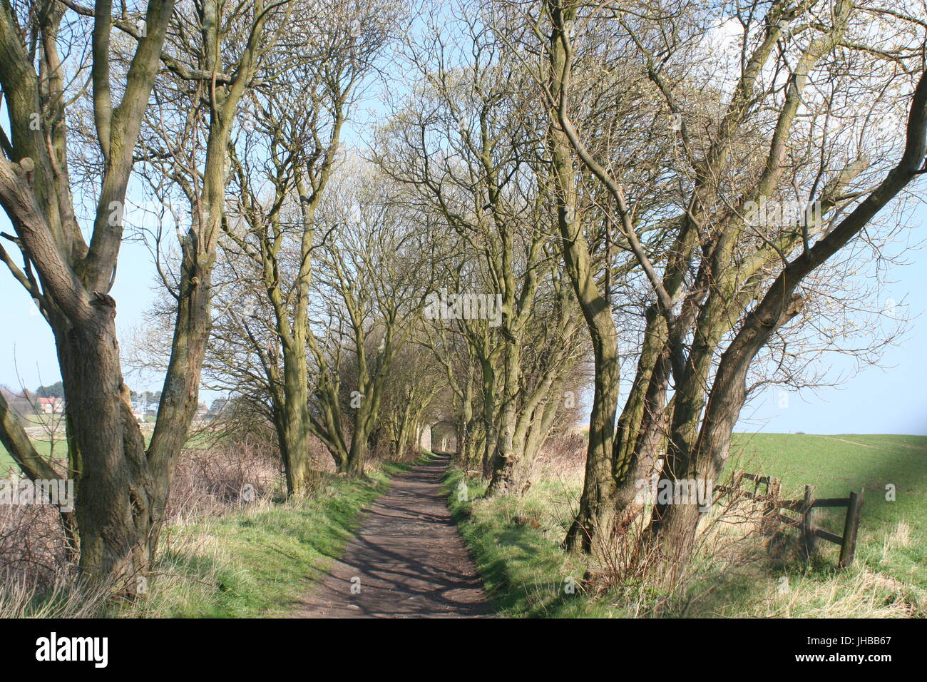 The Cinder Path Stock Photo - Alamy