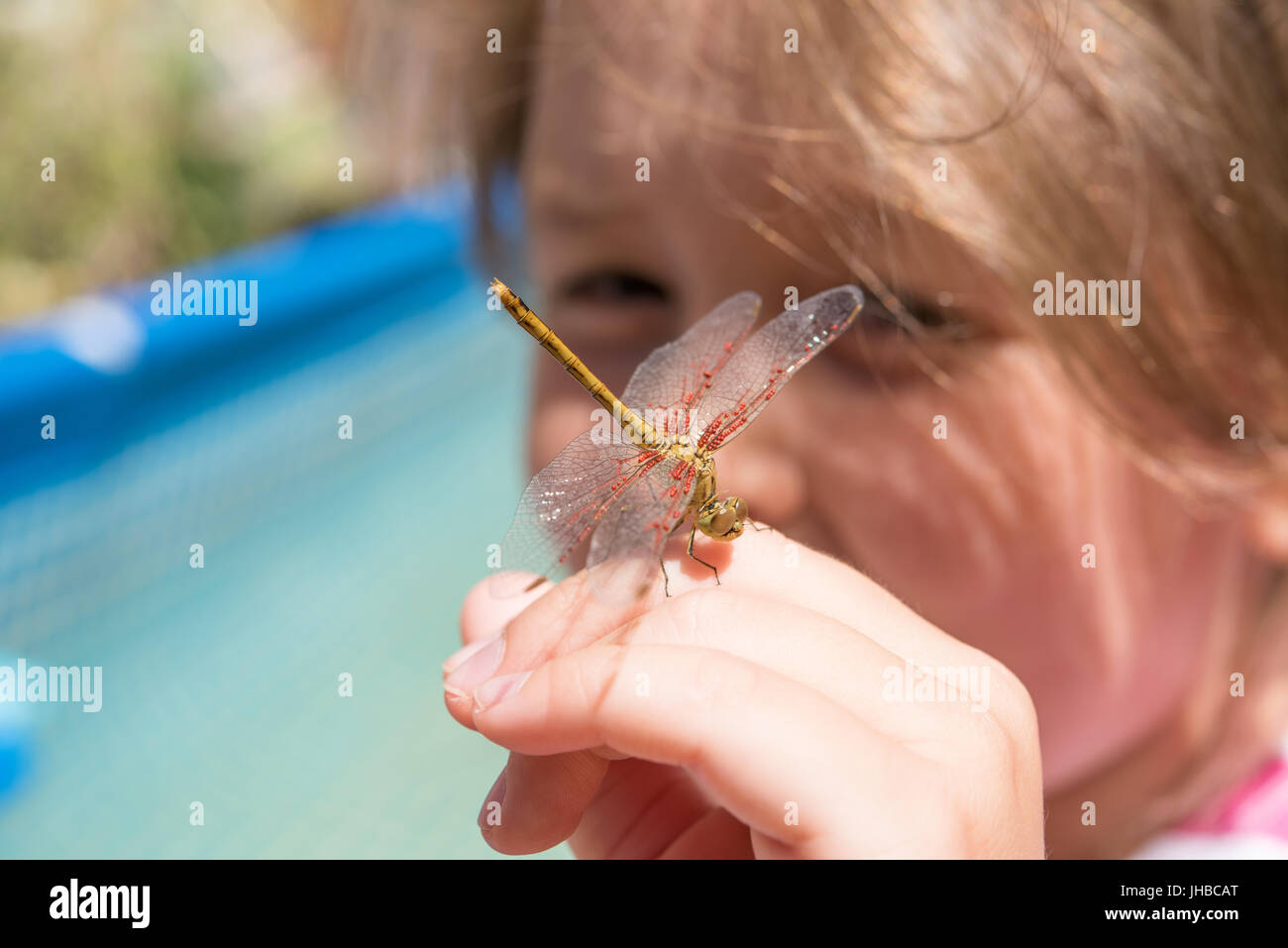 baby with dragonfly Stock Photo - Alamy