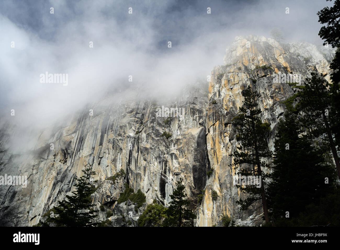 Yosemite national forrest hi-res stock photography and images - Alamy
