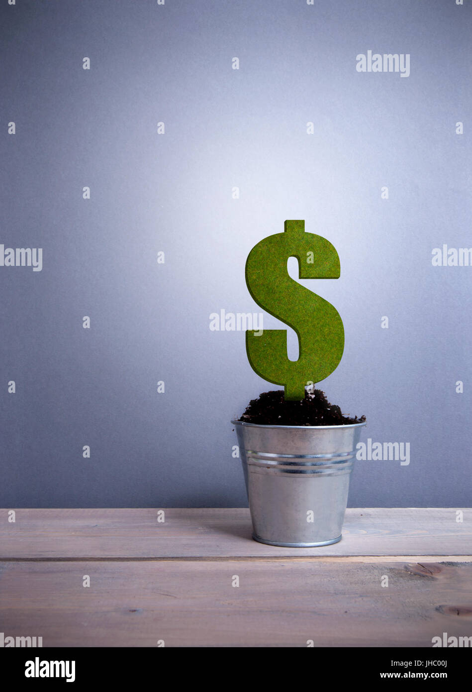 Green dollar sign plant growing in a pot Stock Photo - Alamy