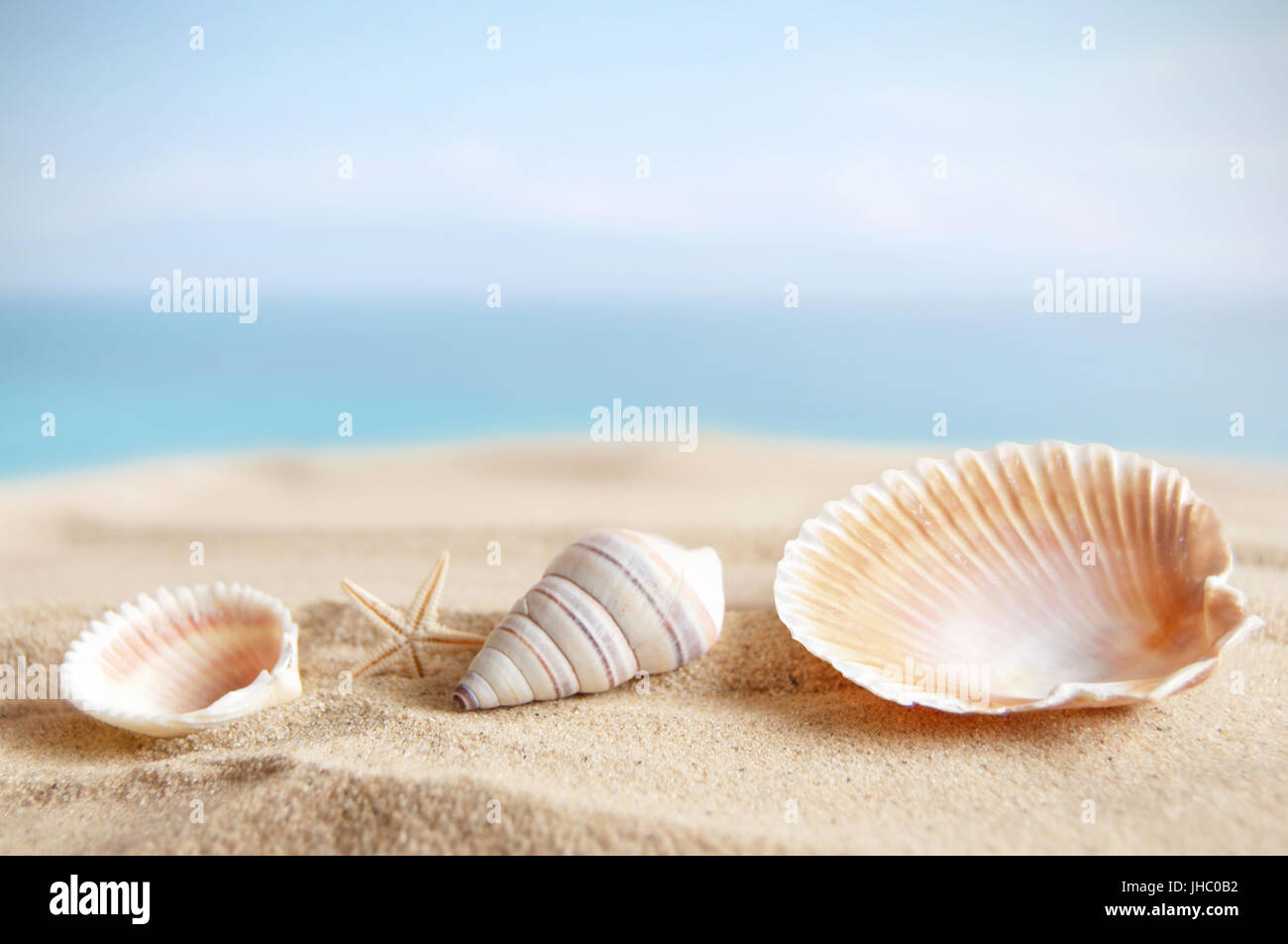 Sandy beach with sea shells and blue sky background Stock Photo - Alamy