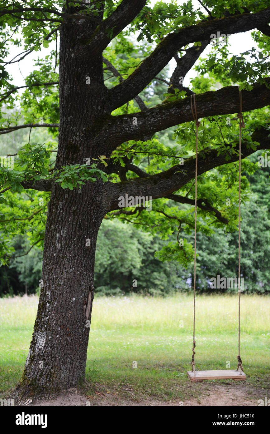Oak tree with swing hi-res stock photography and images - Alamy
