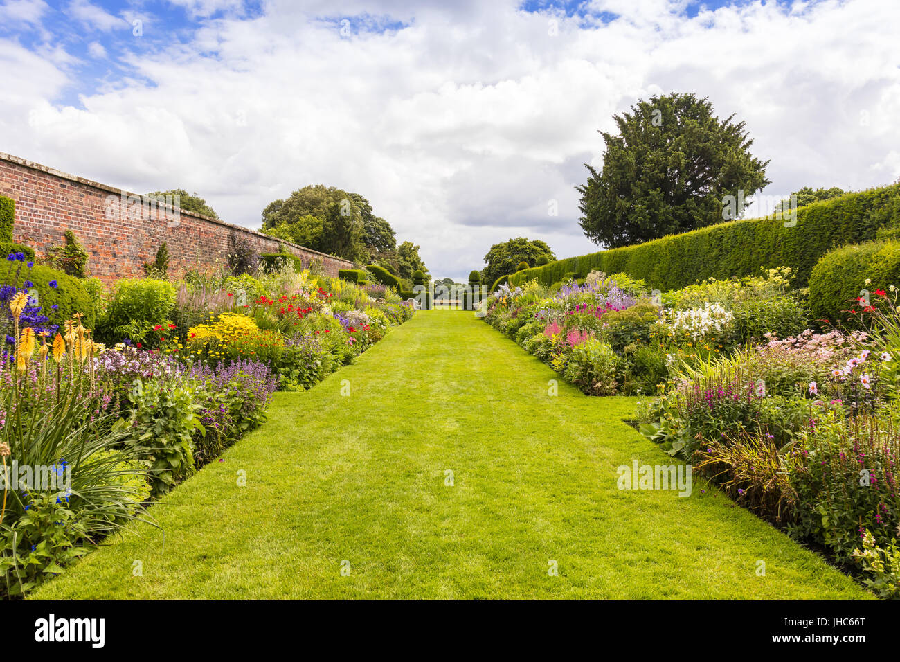 Long herbaceous border in summertime with perennial flowering plants ...