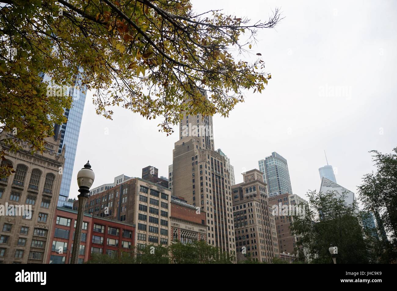 Autumn scene downtown Chicago, gray sky with buildings in background ...
