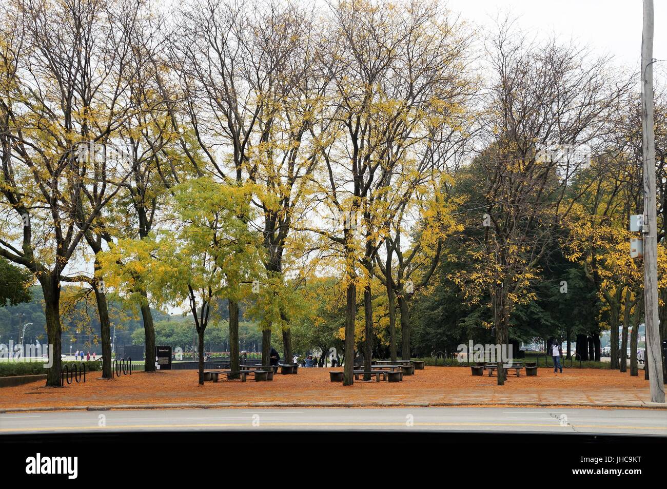 Autumn scene in city, Chicago, illinois with trees changing color ...