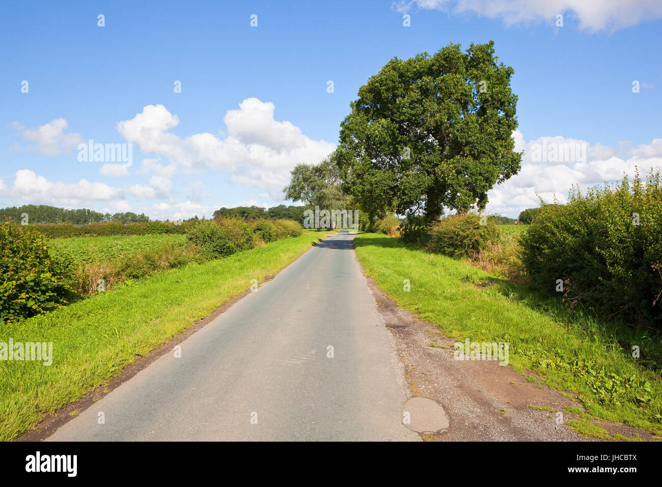 a small tree lined country road through yorkshire agricultural ...