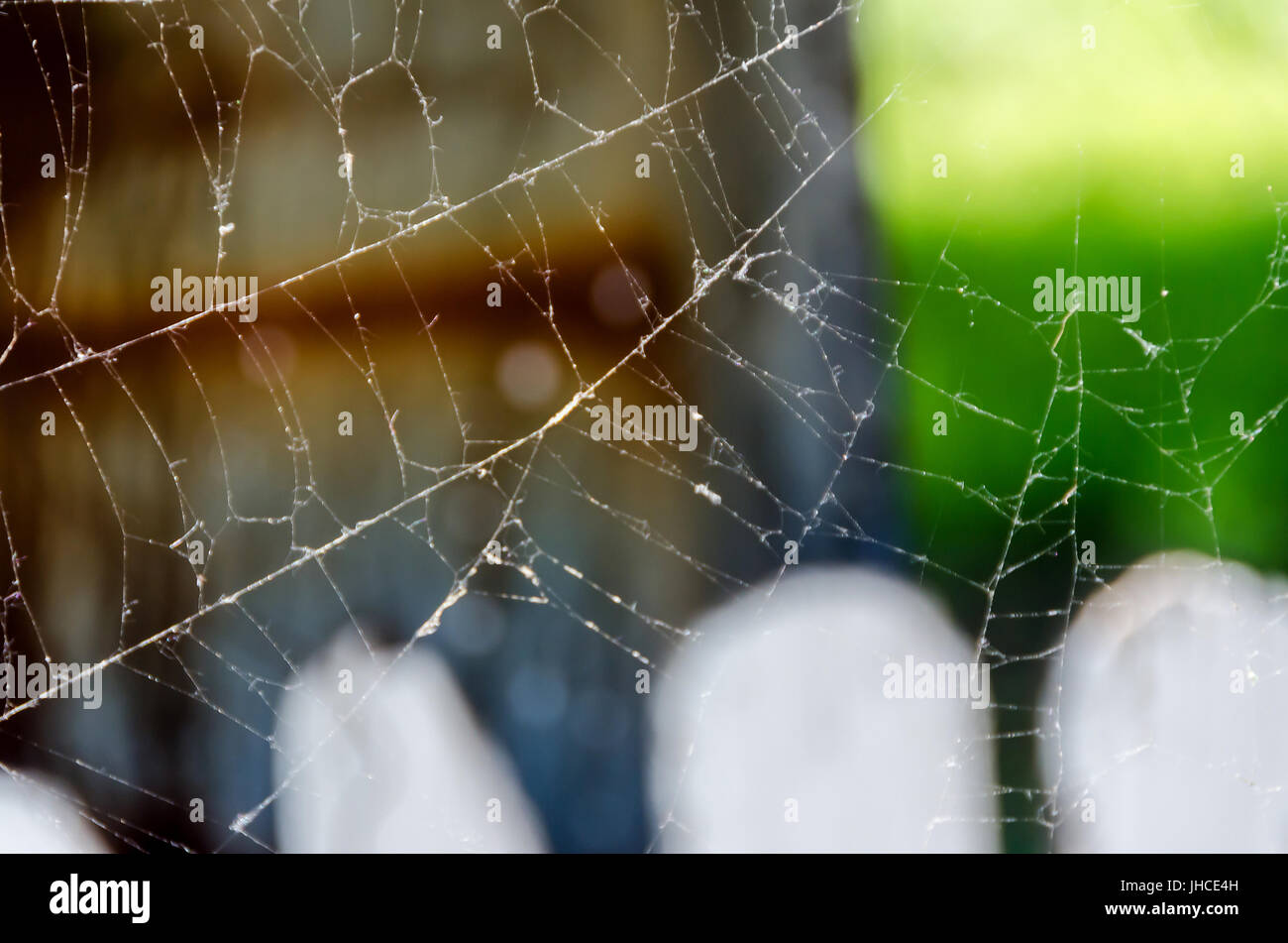Outdoor Spider's web in the sun, close up Stock Photo - Alamy