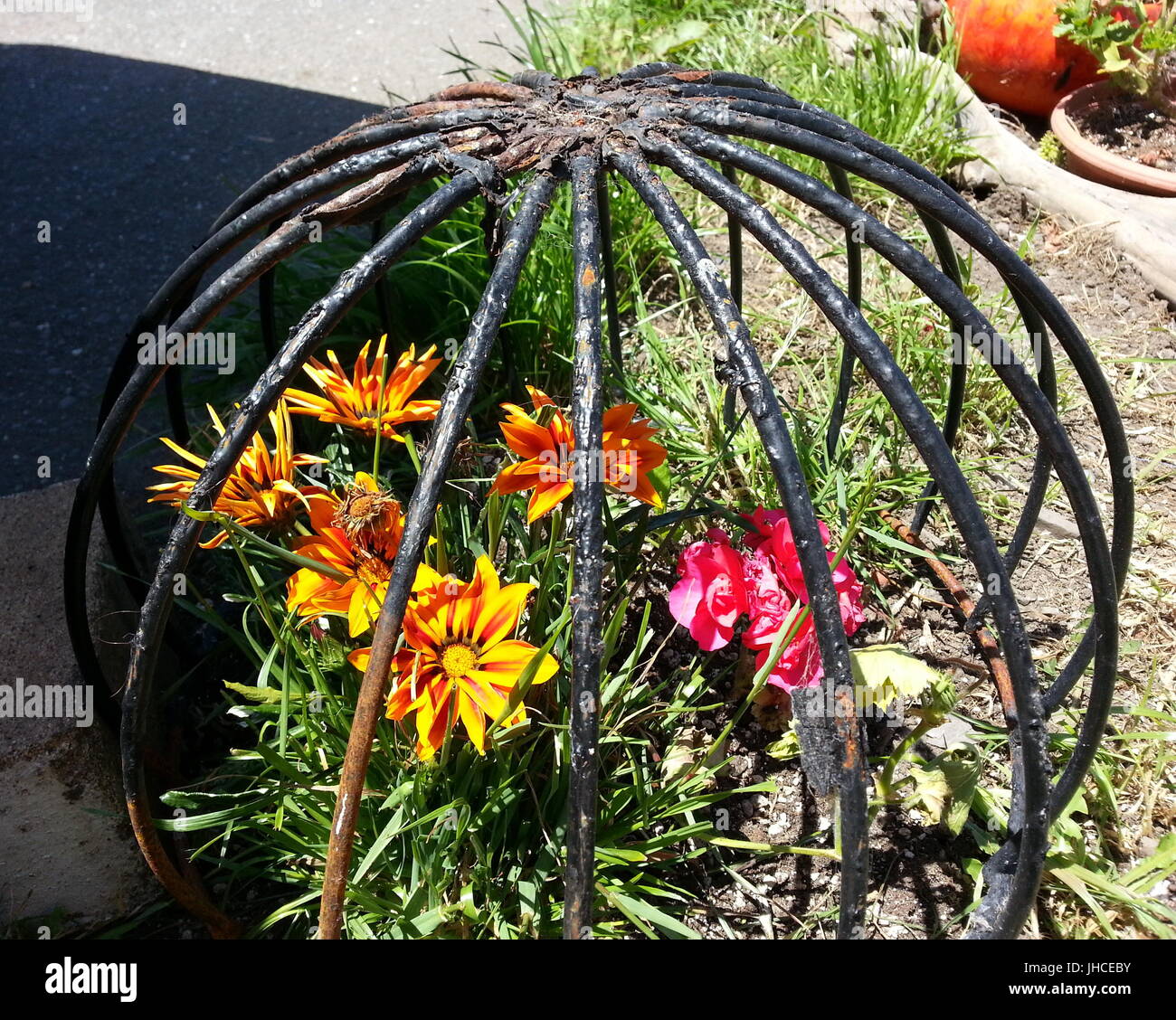 Pink cage hi-res stock photography and images - Alamy