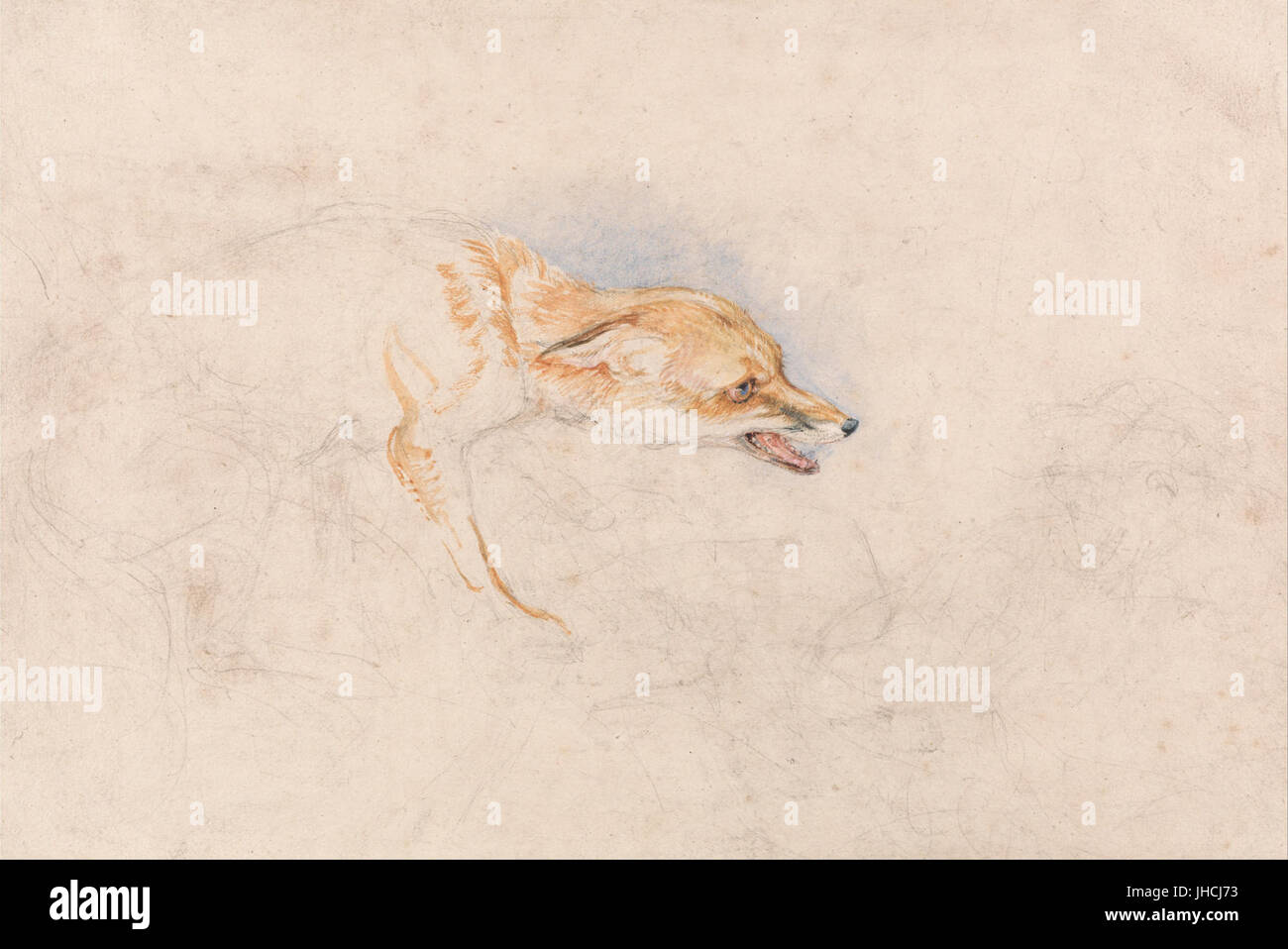 Frederick fox hi-res stock photography and images - Alamy