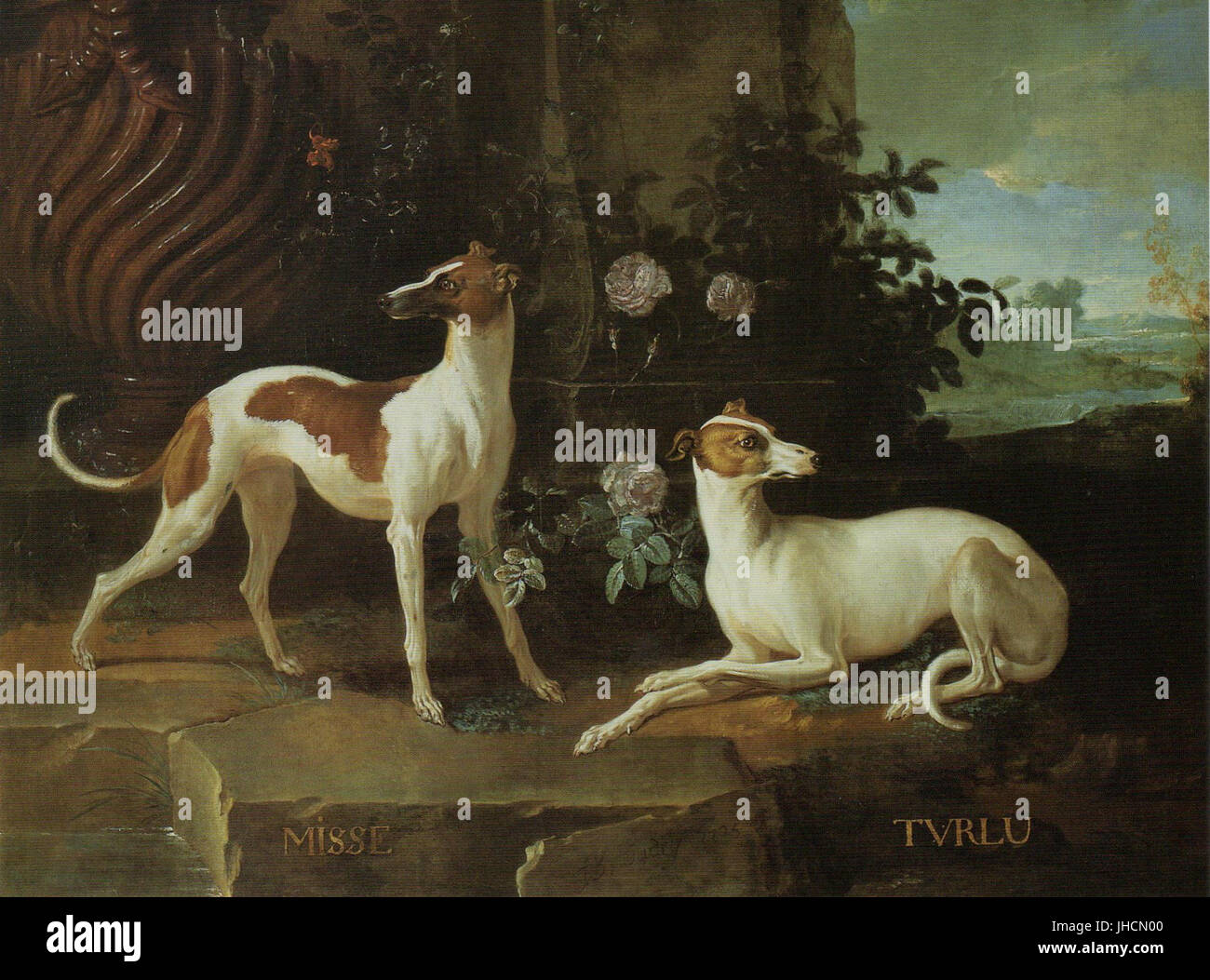 Misse and Turlu, Two Greyhounds Belonging to Louis XV Stock Photo - Alamy