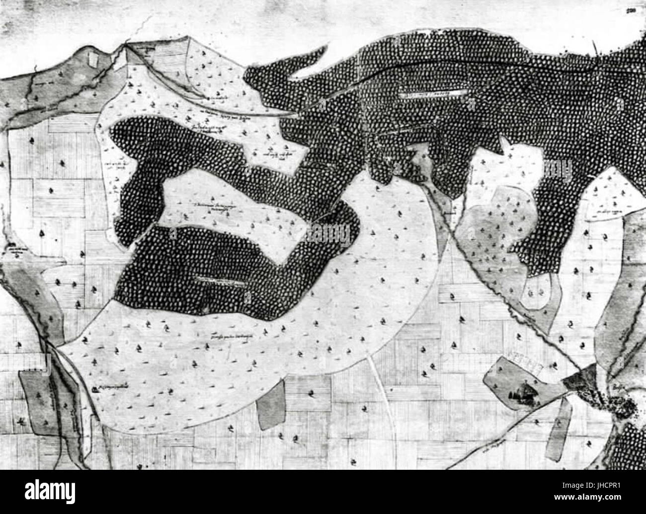 This map, part of the Kieser forestry collection, depicts the forested ...