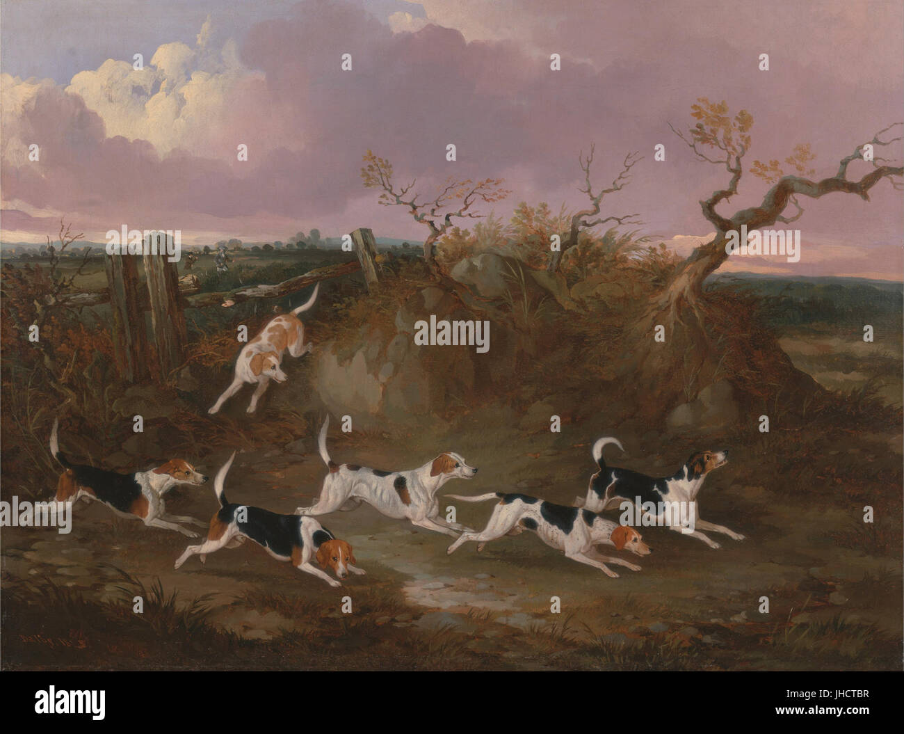 John beagles hi-res stock photography and images - Alamy