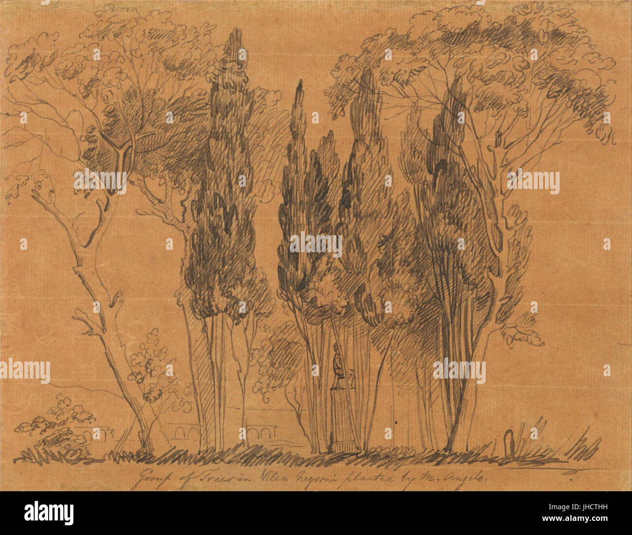 John Flaxman - Trees in the Villa Negroni Planted by M. Angelo Stock ...