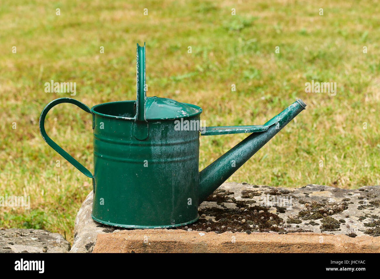 Old green watering can with lawn Stock Photo - Alamy