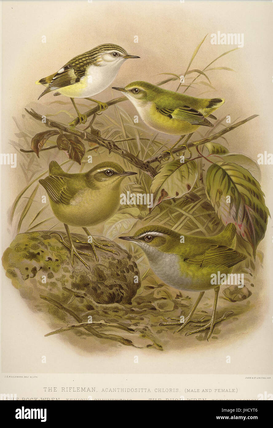 Royal navy wrens wwii hi-res stock photography and images - Alamy