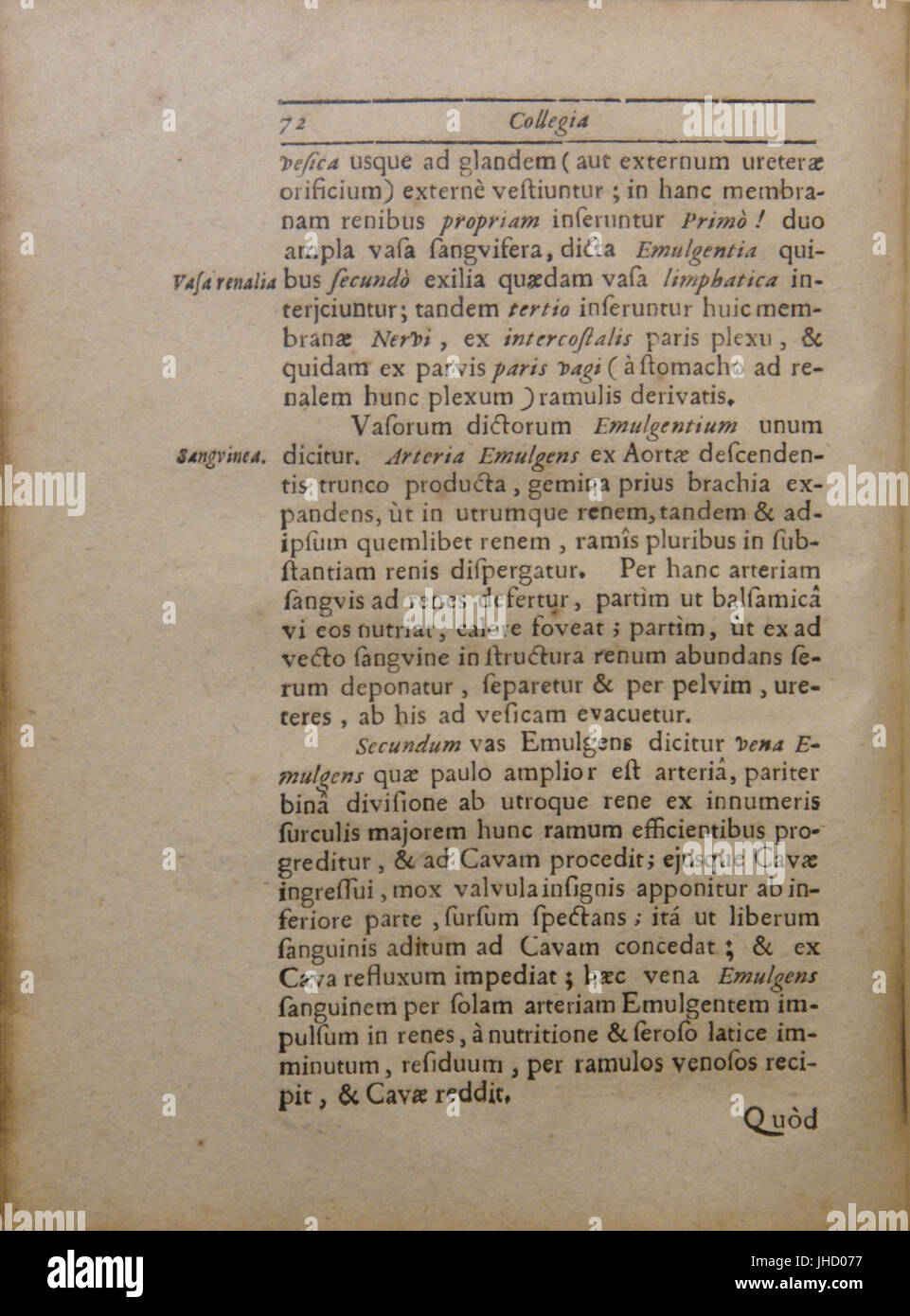 Ignaz mayer hi-res stock photography and images - Alamy