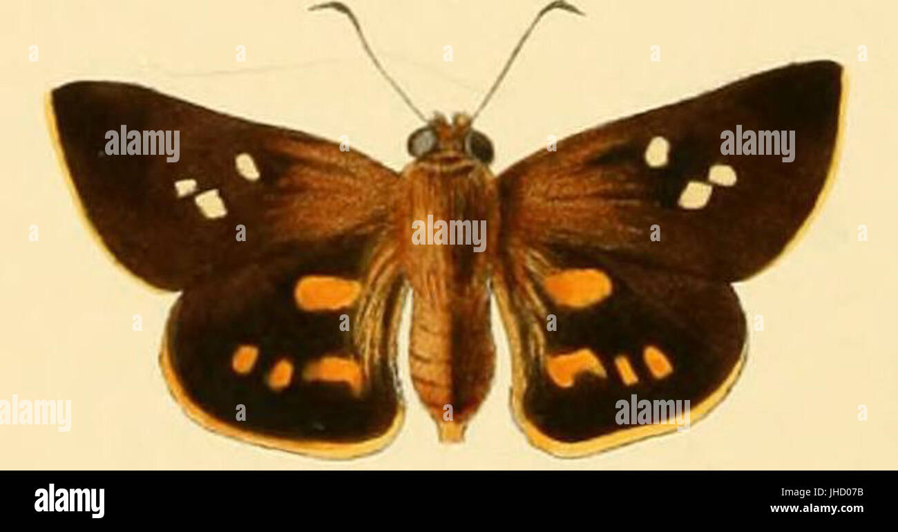 Malaza hi-res stock photography and images - Alamy