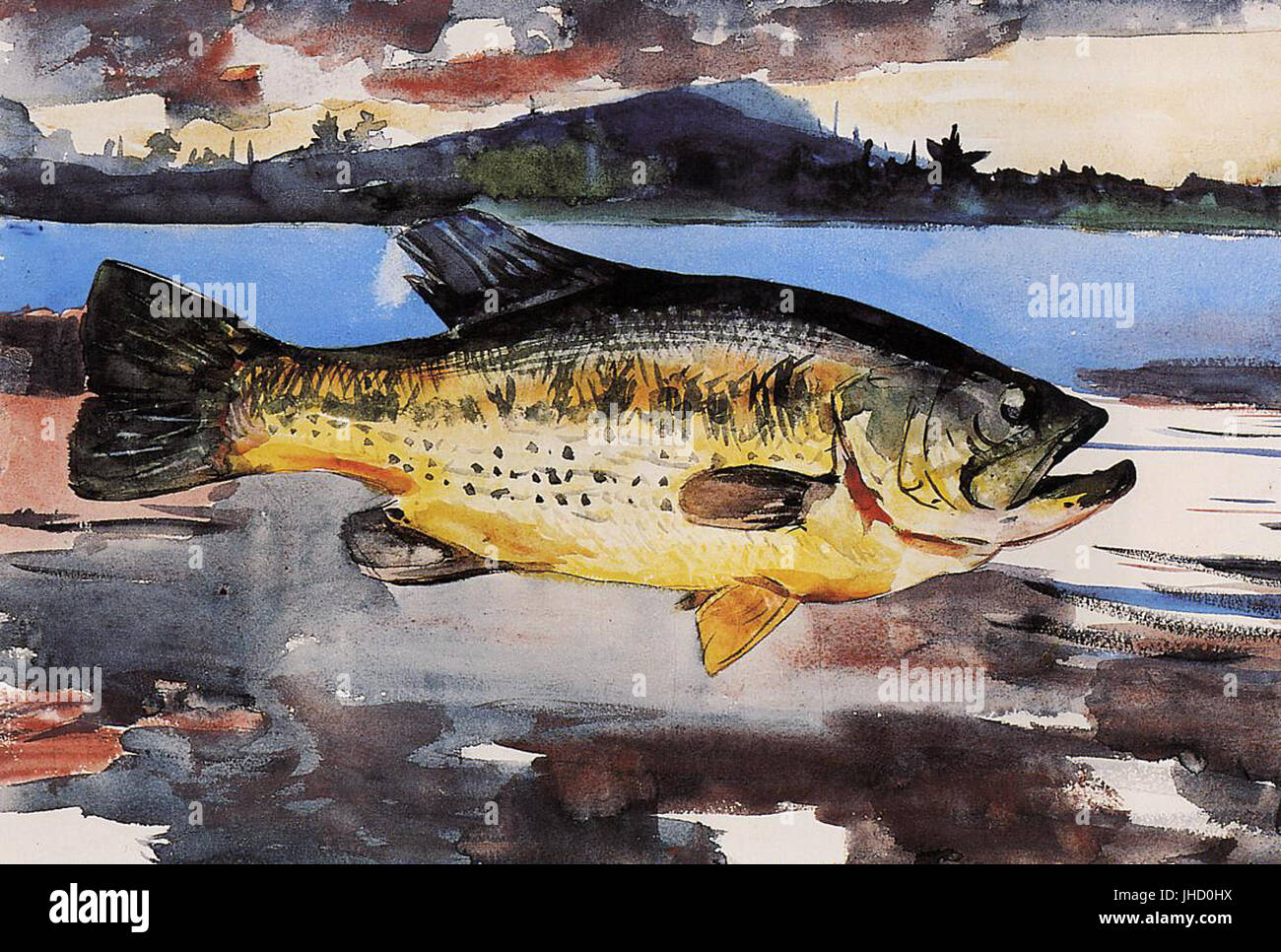Winslow Homer - Bass Stock Photo - Alamy