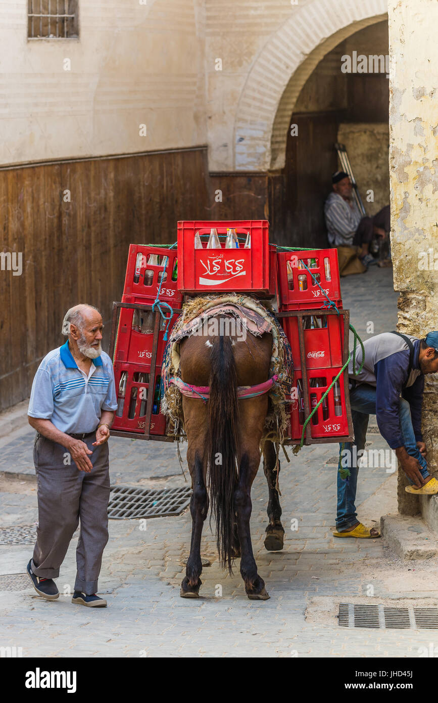 Fes, Morocco - Circa September 2015 - a heavy loaded donkey Stock Photo ...