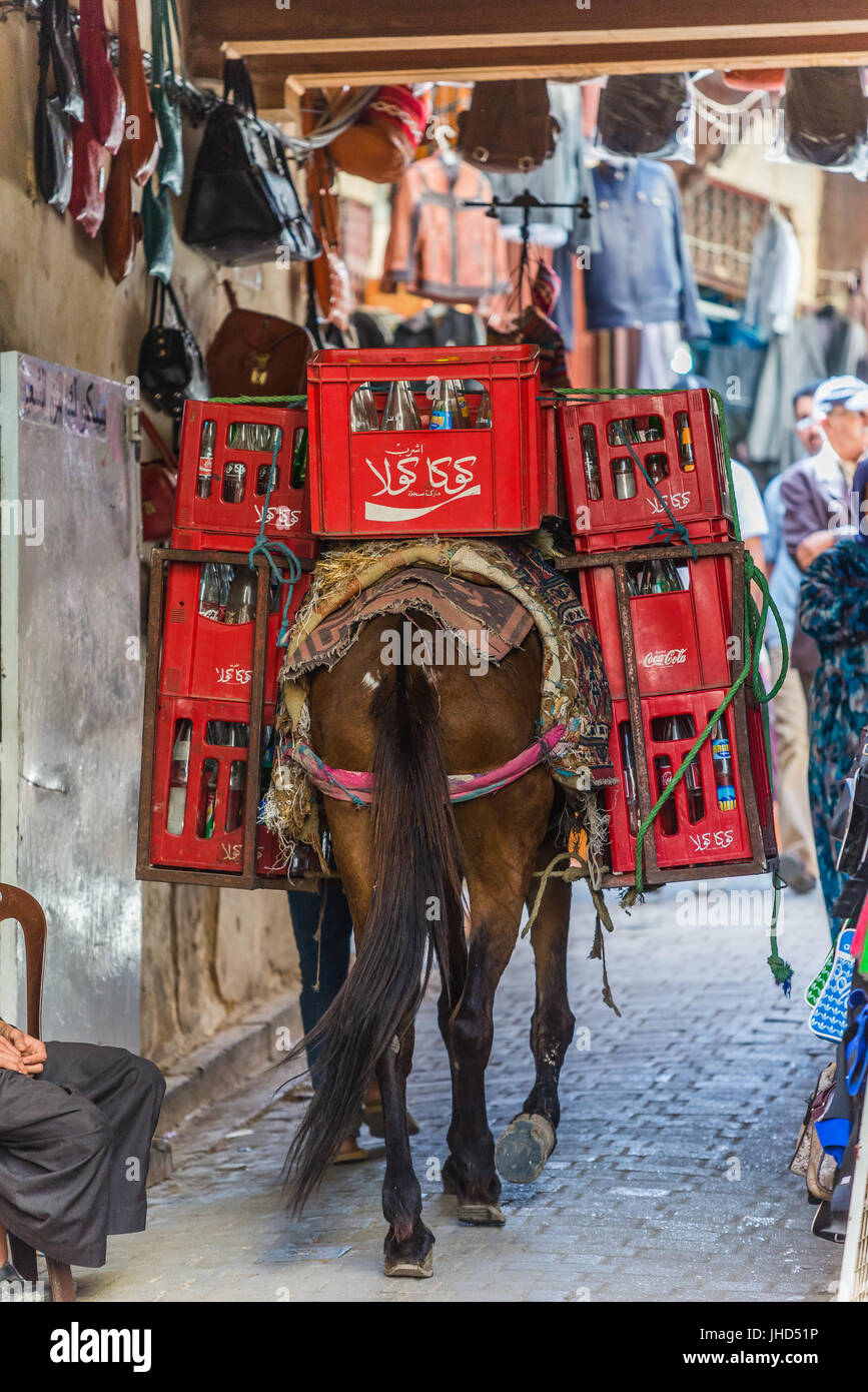 Fes, Morocco - Circa September 2015 - a heavy loaded donkey Stock Photo ...