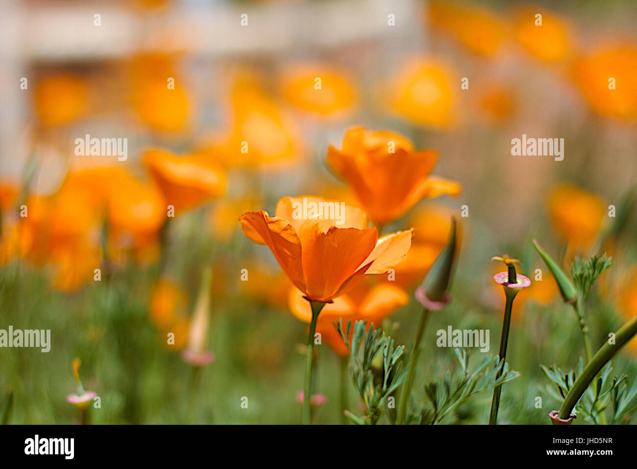 Infinite painting hi-res stock photography and images - Alamy