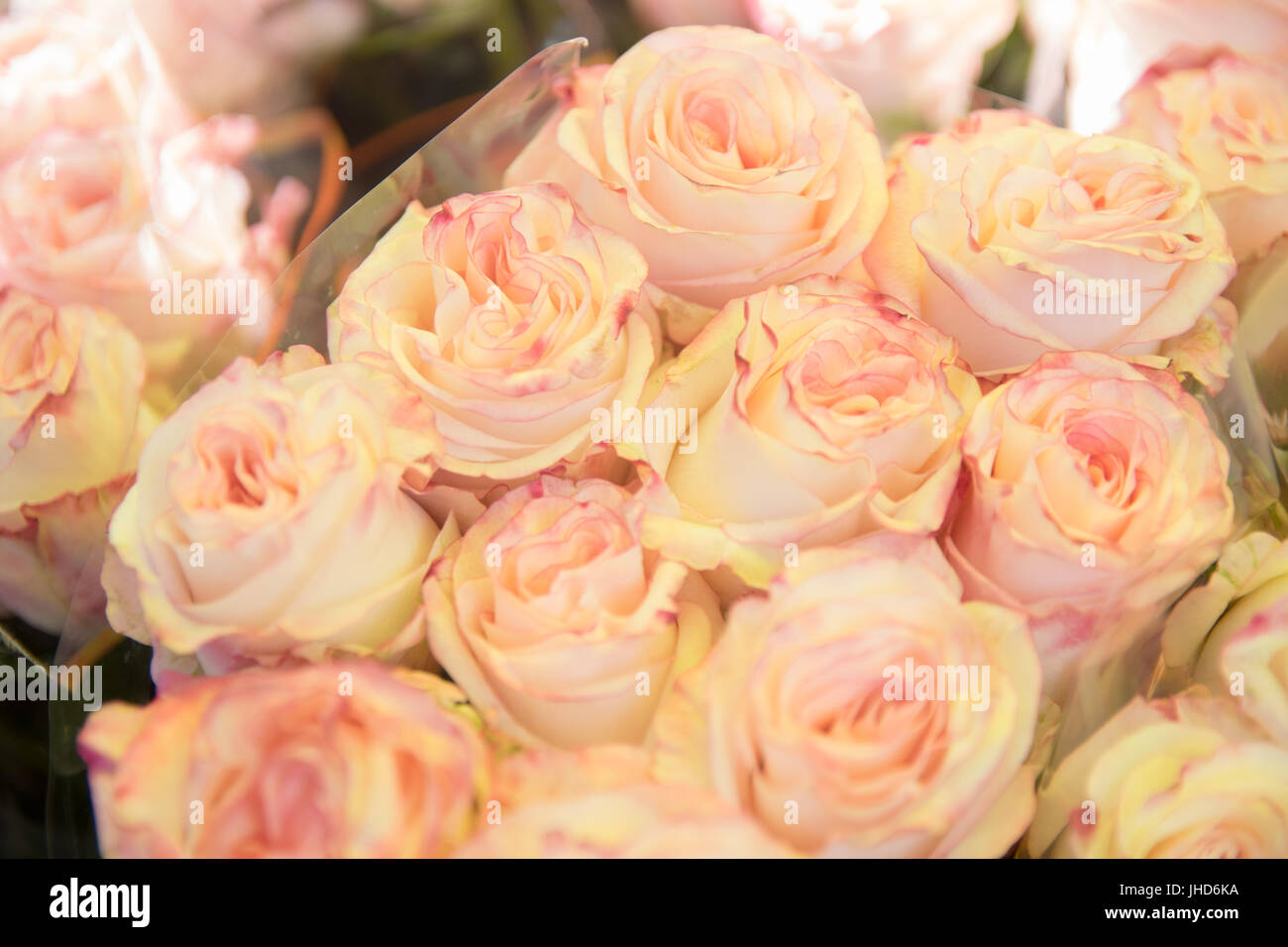 Detail of Beautiful Roses Bouquet Stock Photo - Alamy