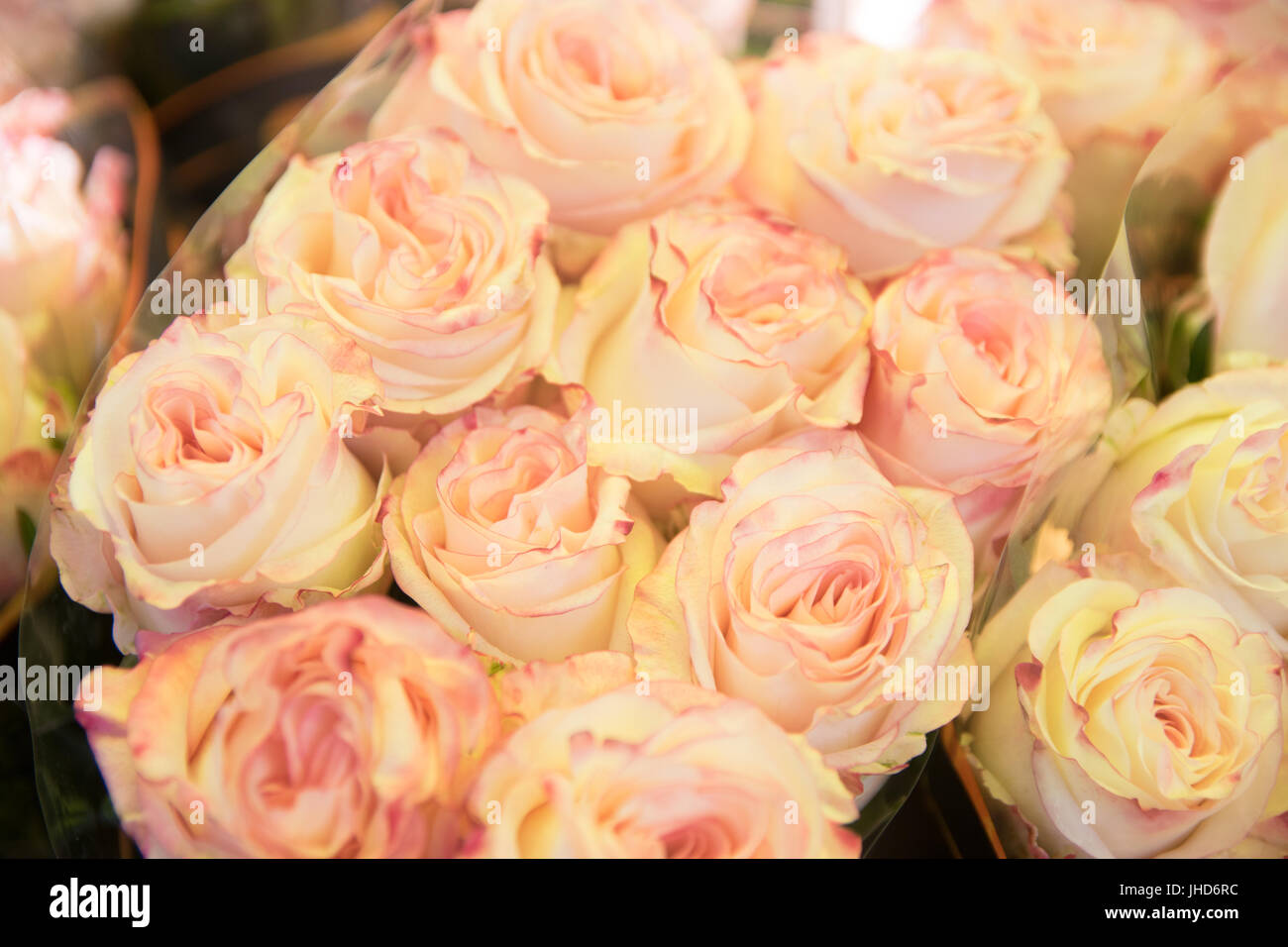 Detail of Beautiful Roses Bouquet Stock Photo - Alamy