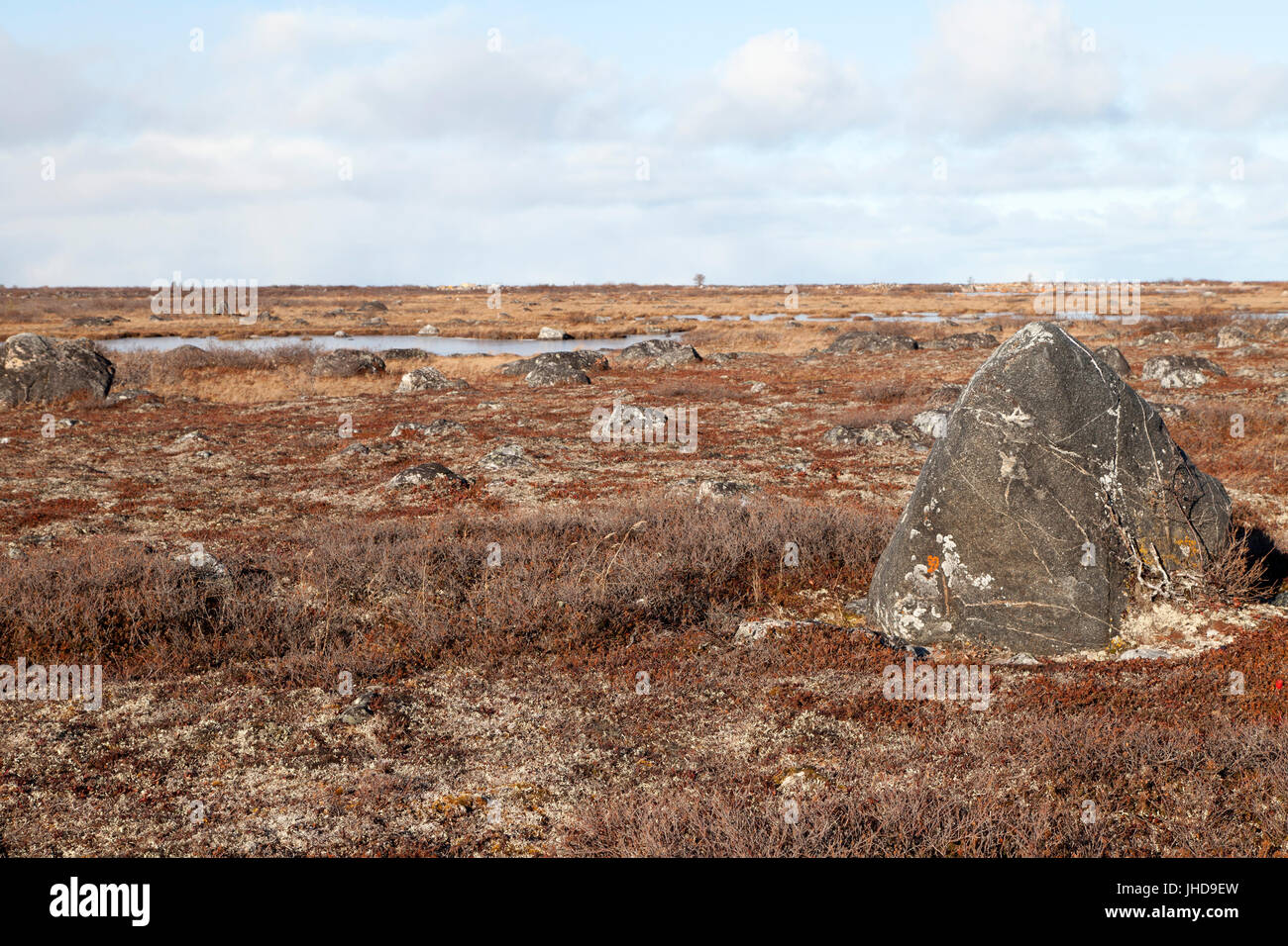 Rocks on the tundra in Manitoba, Canada. The stones were desposited as ...