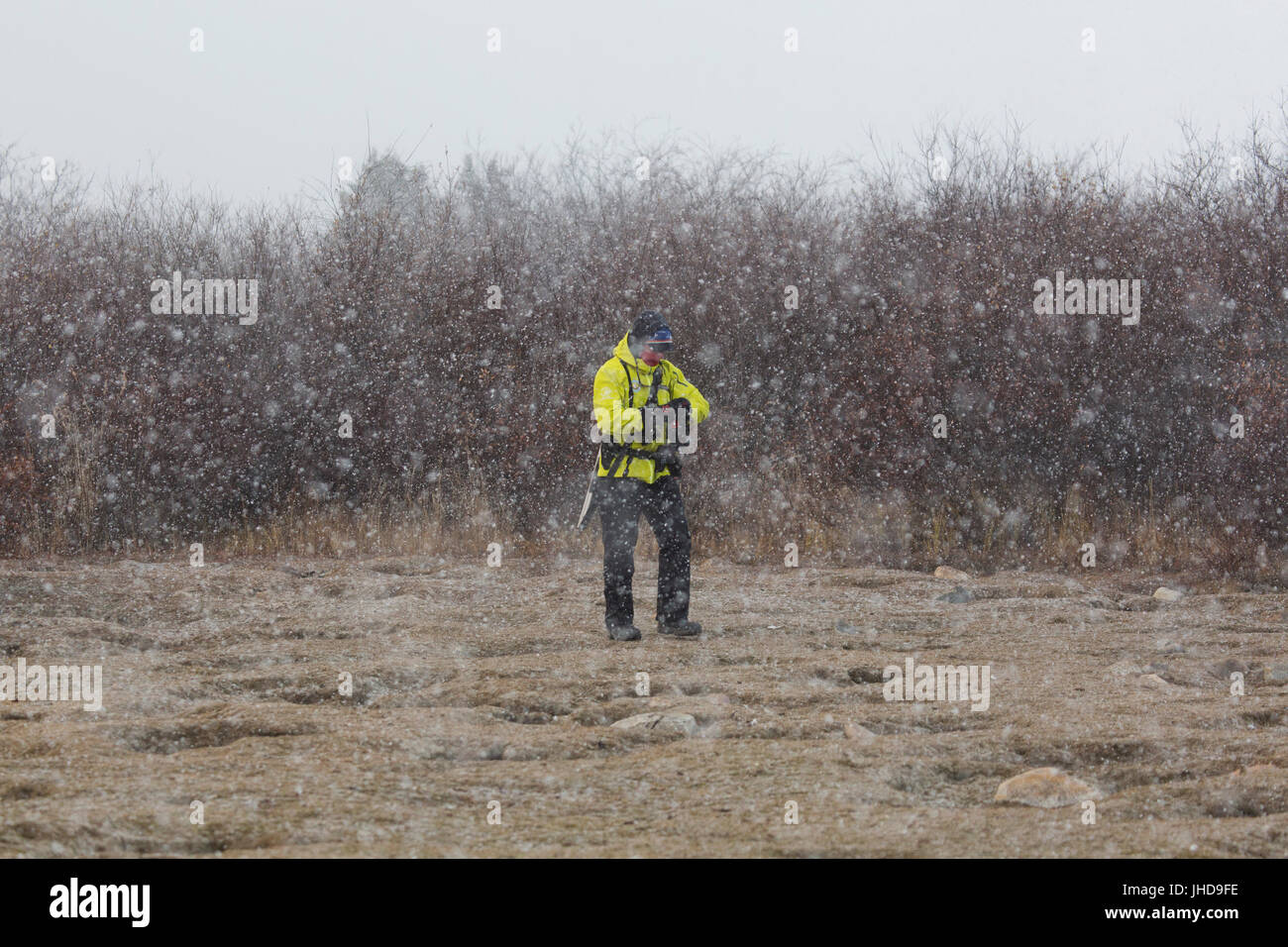 Blizzard on tundra manitoba hi-res stock photography and images - Alamy