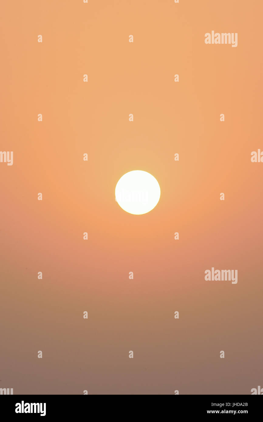 Nature Background early morning summer Sun in vertical frame Stock ...