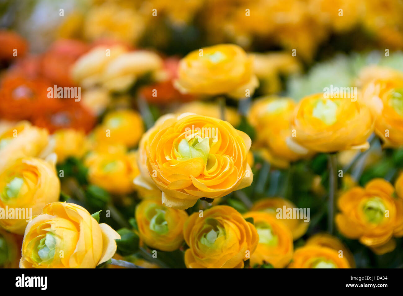 Plastic Yellow Roses Stock Photo - Alamy