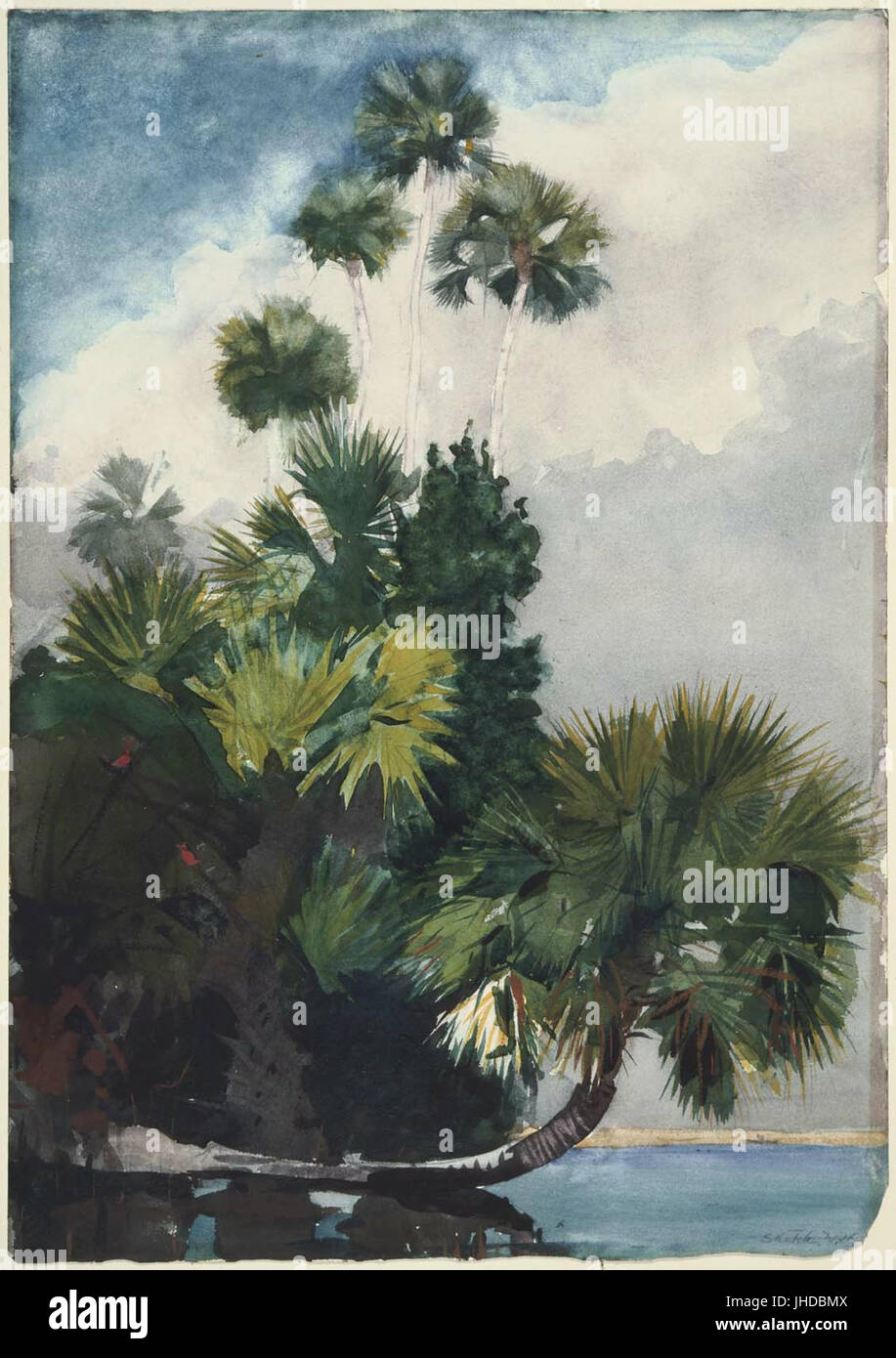 Winslow Homer - Palm Trees, Florida (1904 Stock Photo - Alamy
