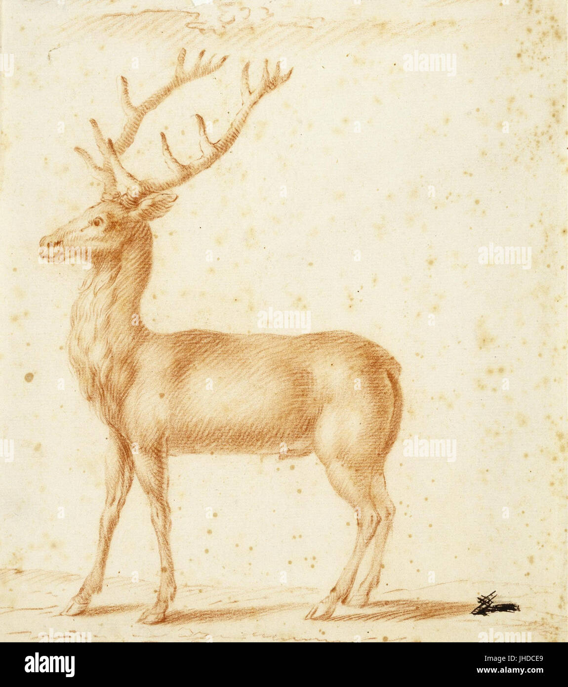 Johann Heinrich Roos - A Stag Stock Photo - Alamy Johann Heinrich Roos - A Stag Stock Photo - Alamy