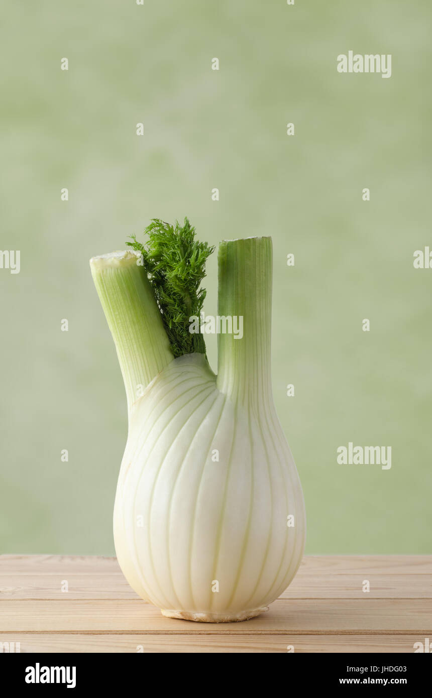 A whole raw fennel bulb standing upright on wood plank table against ...