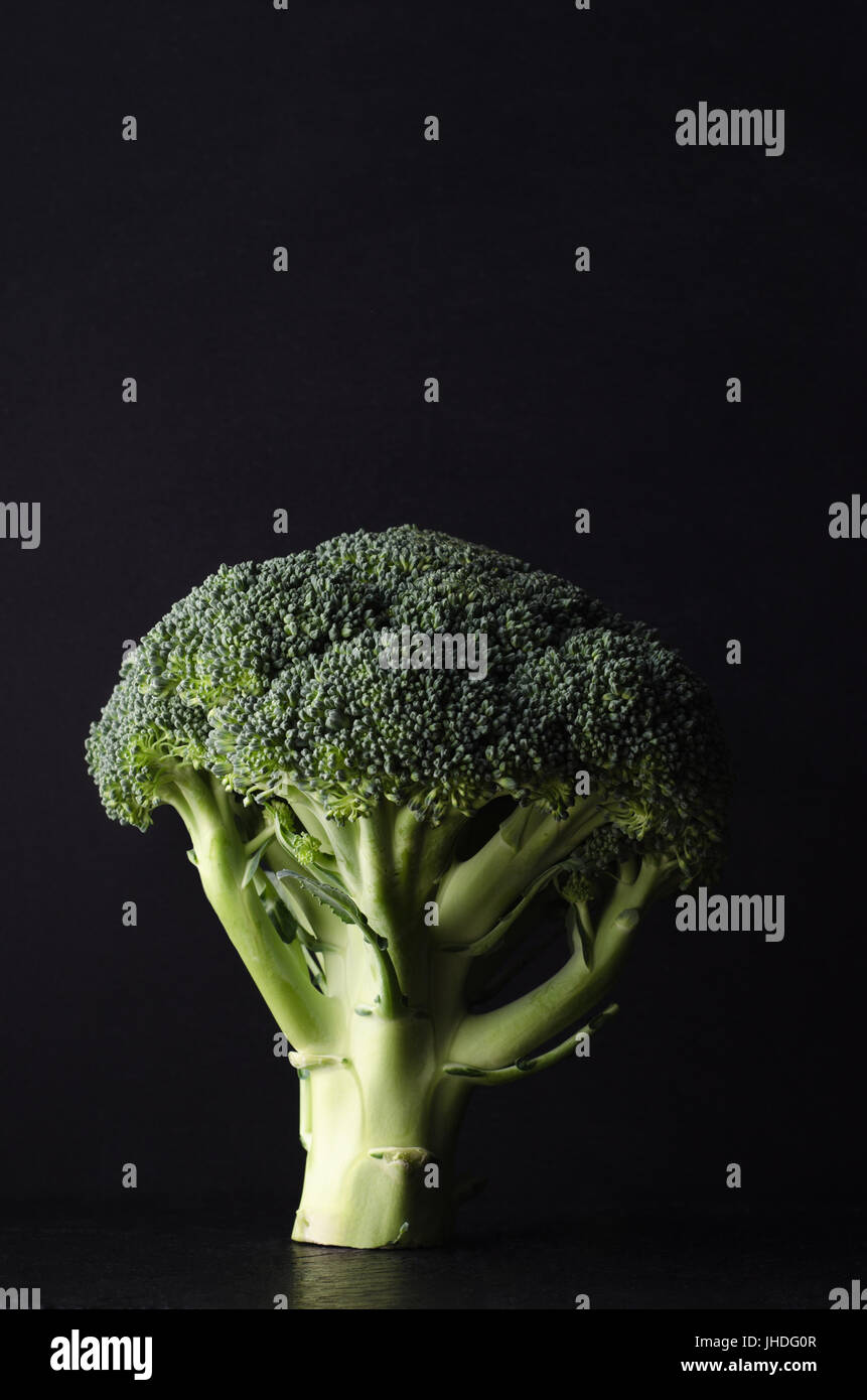 A head of broccoli, tree shaped and standing upright on black surface ...
