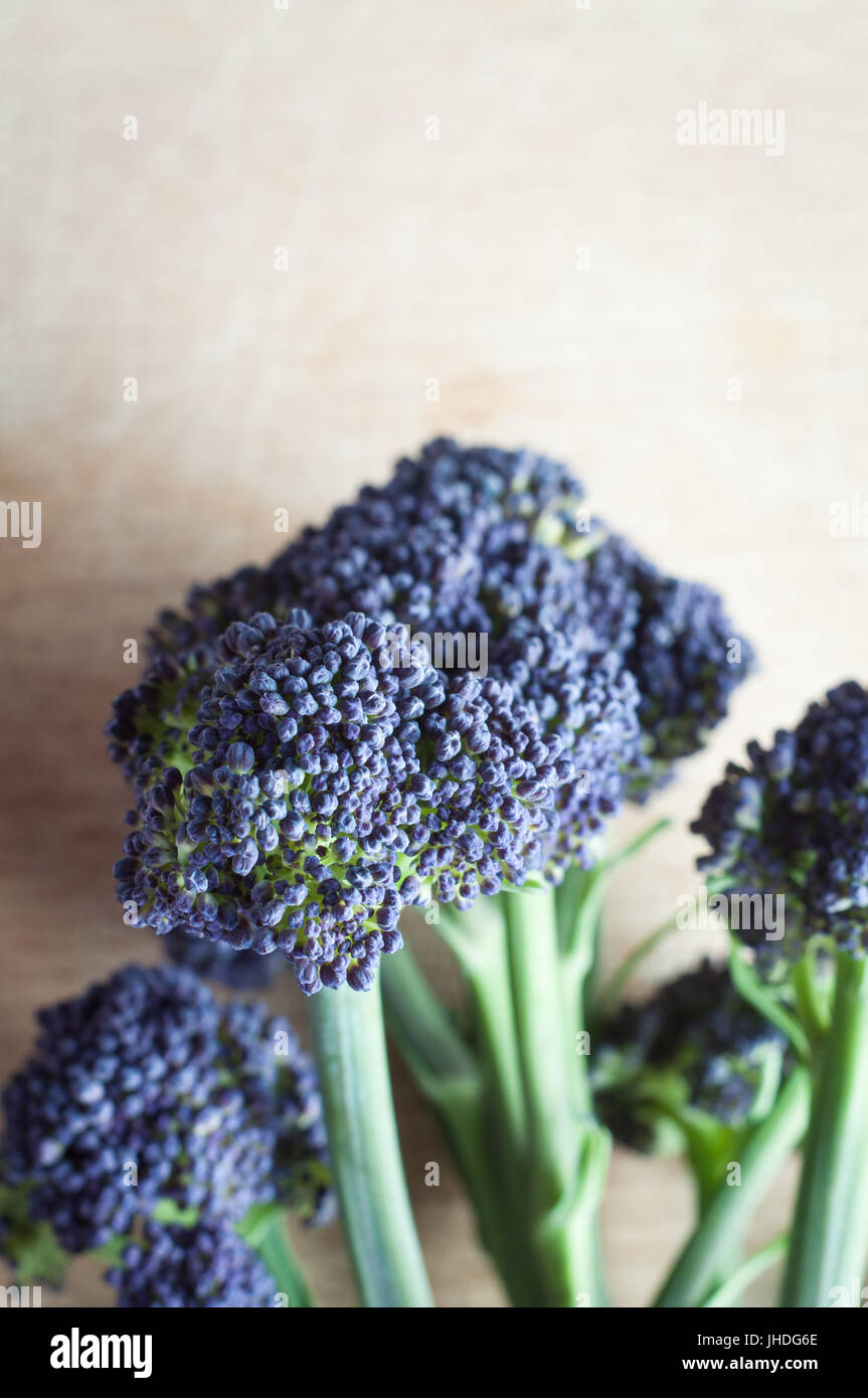 Purple sprouting broccoli with green stalks, pointing upwards towards ...