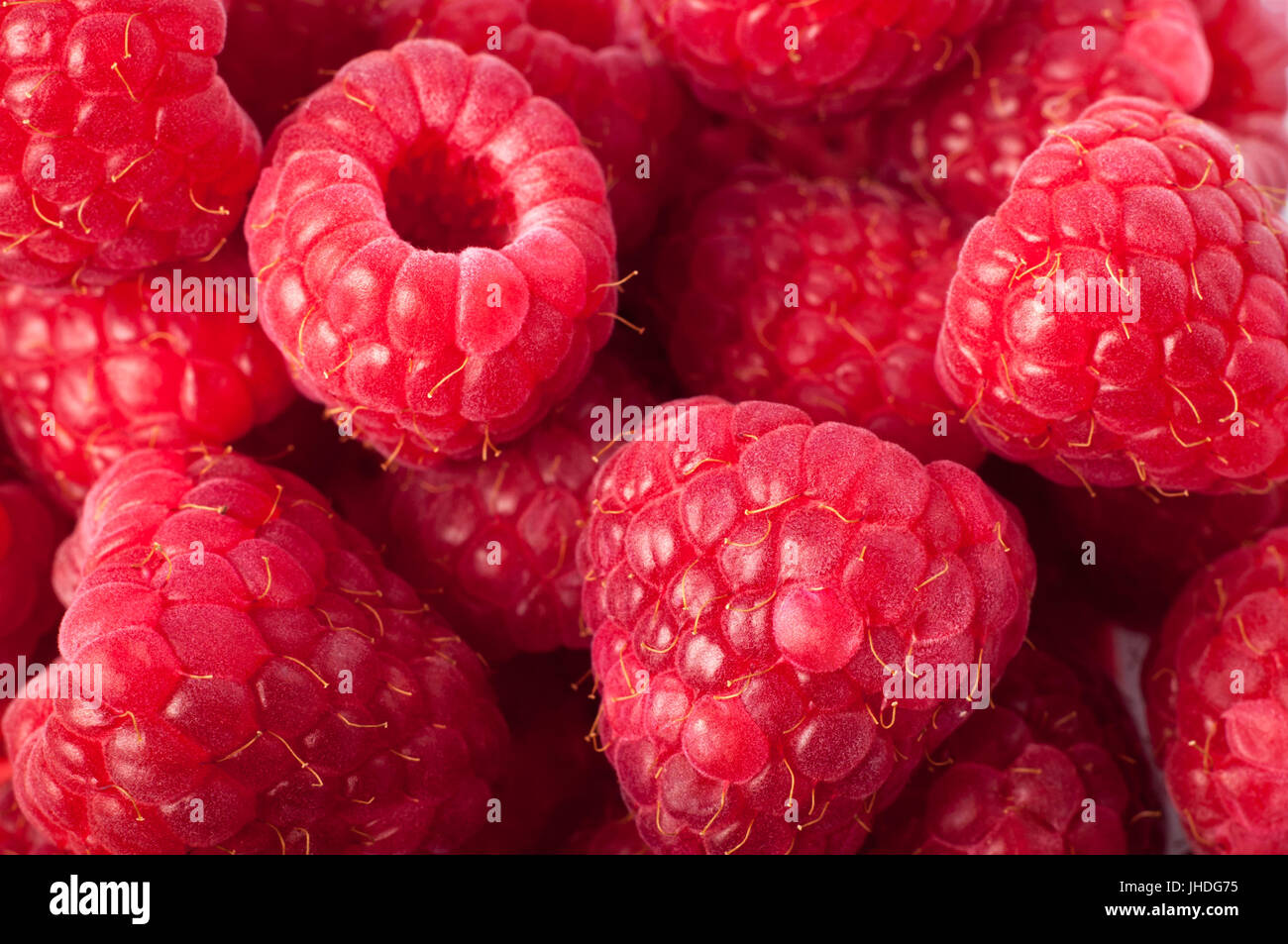 Close up (macro) of multiple red raspberries. Food or fruit background ...