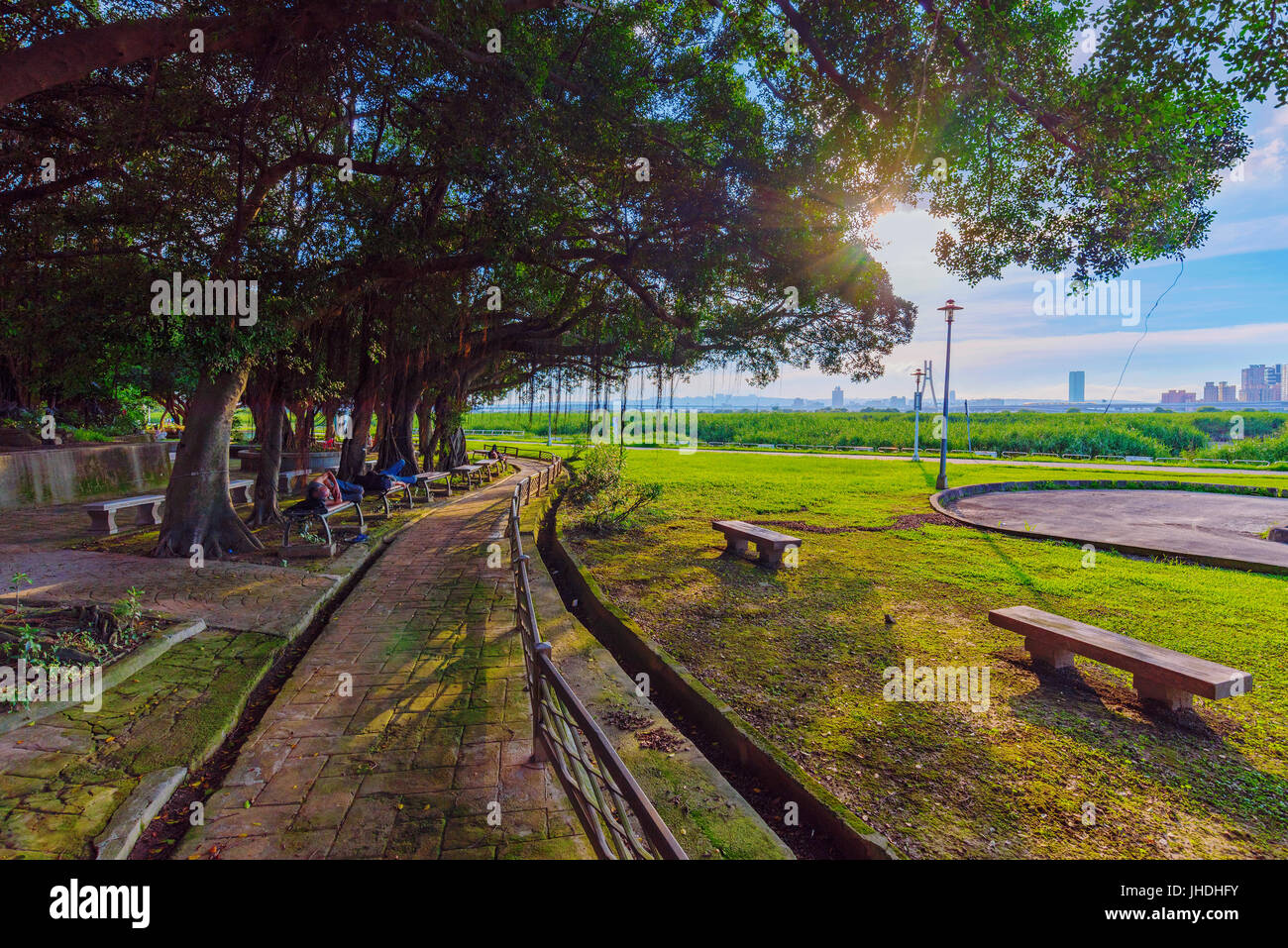 Winding path with sunlight in a riverside park Stock Photo - Alamy