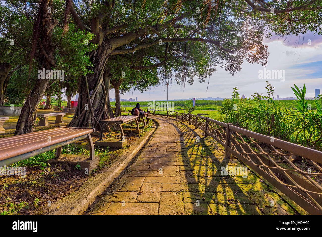 Relaxing walking path nature and benches in a riverside park Stock ...
