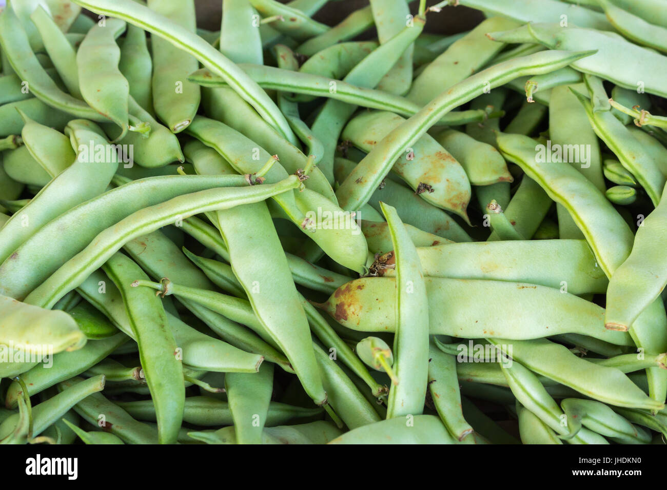 Bush bean hi-res stock photography and images - Alamy