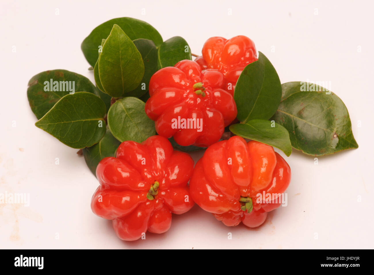 Surinam Cherry High Resolution Stock Photography and Images - Alamy