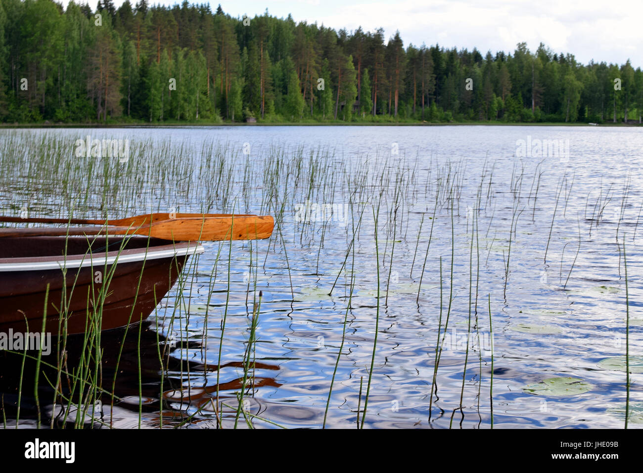 Summer rowing hi-res stock photography and images - Alamy