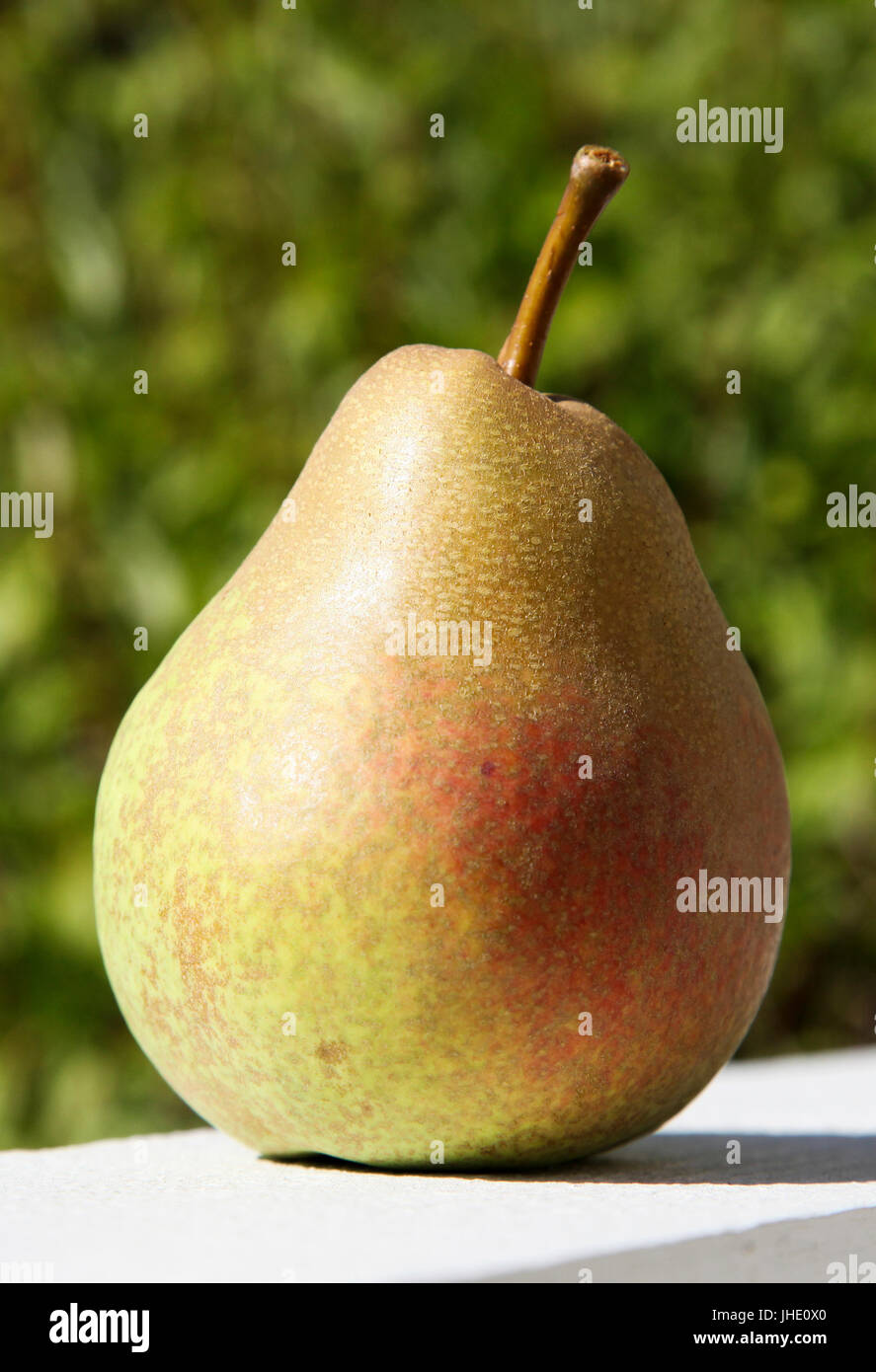 Pear culture hi-res stock photography and images - Alamy